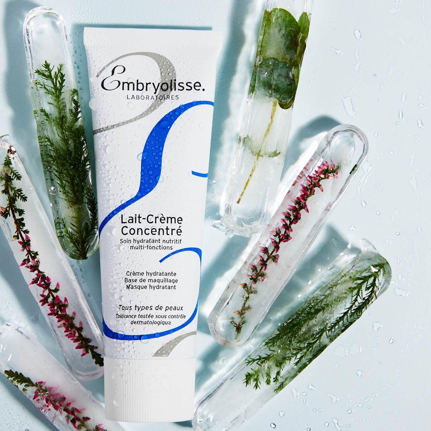 EMBRYOLISSE – Makeup
